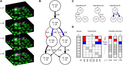 Frontiers | Machine learning enhanced cell tracking