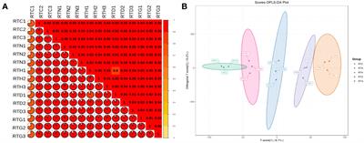 Frontiers | Transcriptomics and metabolomics reveal the primary and ...