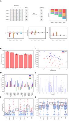 Frontiers | Bw4 ligand and direct T-cell receptor binding induced ...