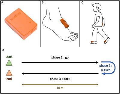 Frontiers | Innovative multidimensional gait evaluation using IMU in ...