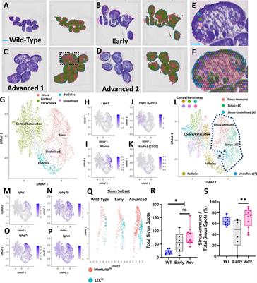 Frontiers | Multi-omics analysis identifies IgG2b class-switching with ...