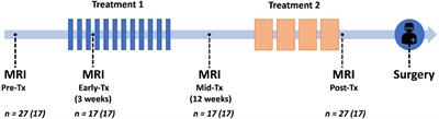 Frontiers | Restriction spectrum imaging with elastic image ...