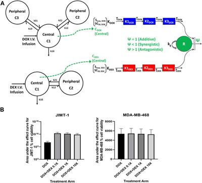 Frontiers | In vitro to clinical translation of combinatorial effects ...