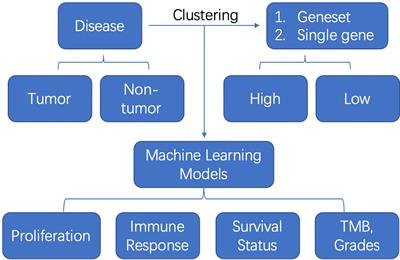 Frontiers | Editorial: Unveiling the tumor microenvironment by machine ...