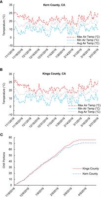 Frontiers | Temporal transcriptome and metabolite analyses provide ...