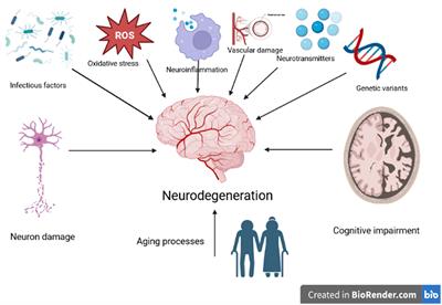 Frontiers | Editorial: Insights into mechanisms underlying brain ...