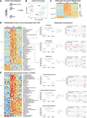 Frontiers | Integrated metabolomics and proteomics reveal biomarkers ...