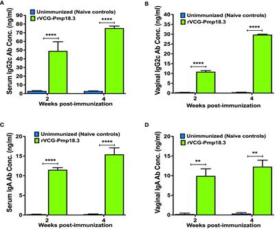 Frontiers | A novel cold-chain free VCG-based subunit vaccine protects ...