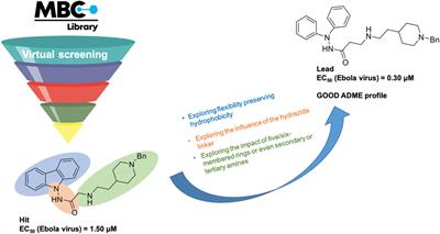 Frontiers | MBC and ECBL libraries: outstanding tools for drug discovery