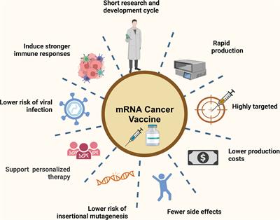 Frontiers | Recent advances in mRNA cancer vaccines: meeting challenges ...