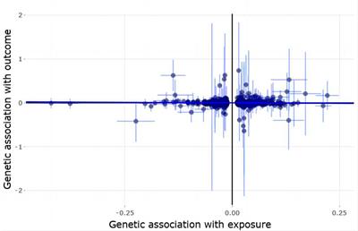 Frontiers | Identification of heel bone mineral density as a risk ...