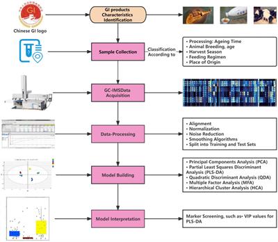 Frontiers | Application of GC-IMS coupled with chemometric analysis for ...