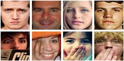 Frontiers | Occlusion facial expression recognition based on feature ...