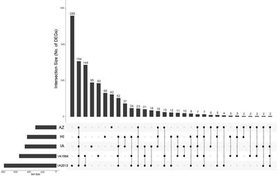 Frontiers | Varying conjunctival immune response adaptations of house ...