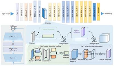 Frontiers | Non-invasive and accurate risk evaluation of ...