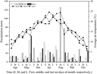 Frontiers | Post-anthesis dry matter and nitrogen accumulation ...