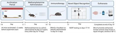 Frontiers | Immunotherapeutic treatment of inflammation in mice exposed ...