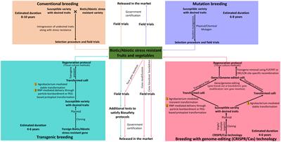 Frontiers | Genetic amelioration of fruit and vegetable crops to ...