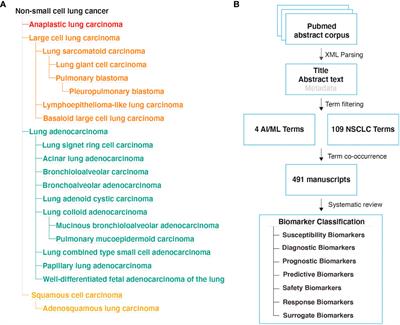 Frontiers | AI/ML advances in non-small cell lung cancer biomarker ...