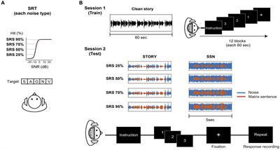 Frontiers | Neural correlation of speech envelope tracking for ...