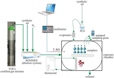 Frontiers | Accurate low-dose exposure assessment of benzene and ...