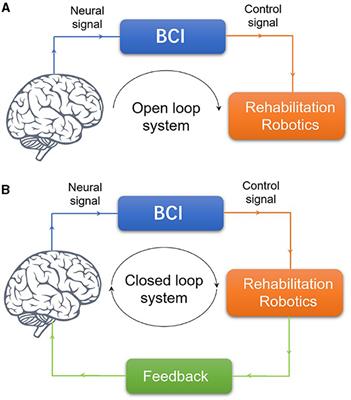 Frontiers | Favoring the cognitive-motor process in the closed-loop of ...