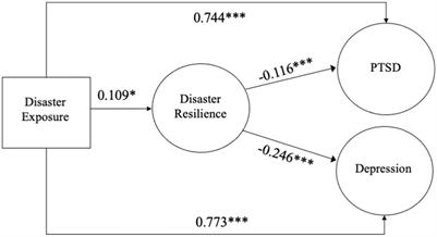 Frontiers | Post-traumatic stress and depression following disaster ...