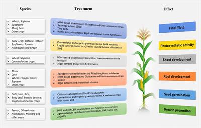 Frontiers | Enhancing crop resilience by harnessing the synergistic ...