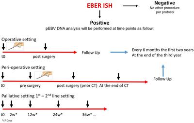 Frontiers | Plasma EBV DNA as a prognostic factor in EBV associated ...