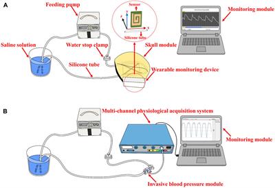Frontiers | Dynamic cerebral blood flow assessment based on ...