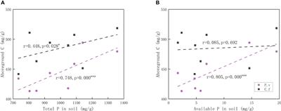 Frontiers | Dauciform roots affect the position of the neighboring ...