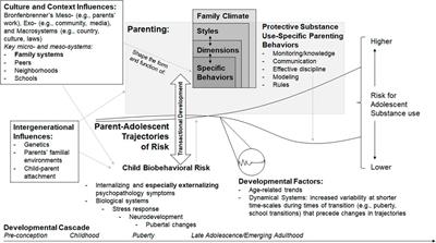 Frontiers | The role of parenting in developmental trajectories of risk ...