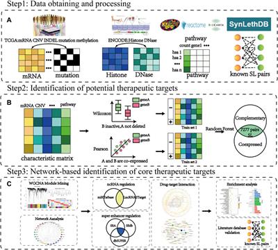 Frontiers | Multi-level characteristics recognition of cancer core ...