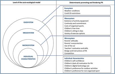 Frontiers | Determinants promoting and hindering physical activity in ...