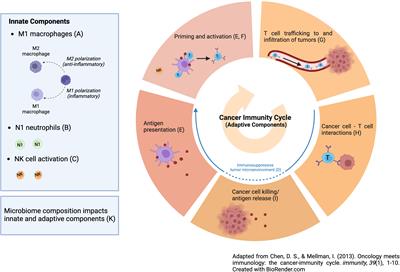 Frontiers | Readily available drugs and other interventions to ...