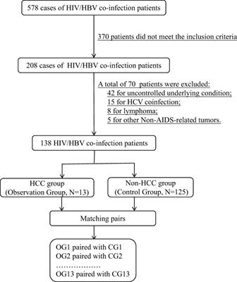 Frontiers | Serum protein biomarkers for HCC risk prediction in HIV/HBV ...