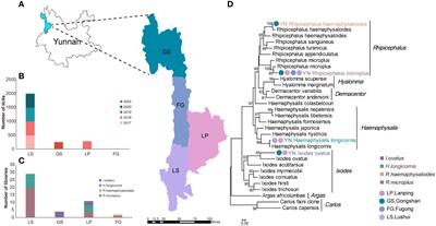 Frontiers | Meta-transcriptomics for the diversity of tick-borne virus ...