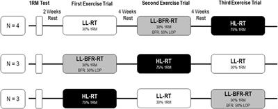 Frontiers | Effects of low-load blood flow restriction on the venous ...