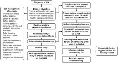 Frontiers | MS care: integrating advanced therapies and holistic management