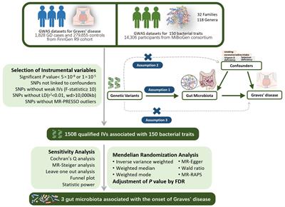 Frontiers | Bacteroidaceae, Bacteroides, and Veillonella: emerging ...