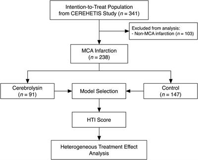 Frontiers | Heterogeneous treatment effects of Cerebrolysin as an early ...