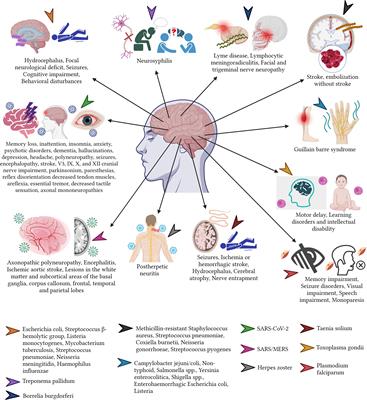 Frontiers | Beyond the acute phase: a comprehensive literature review ...