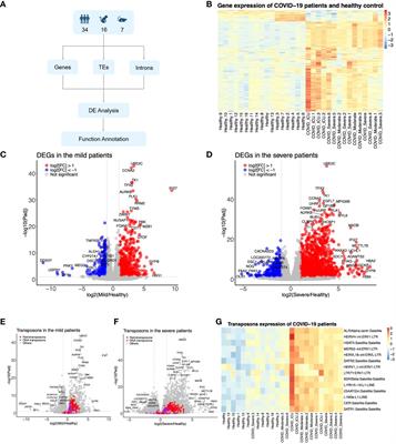 Frontiers | Identification and characterization of endogenous ...