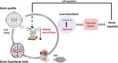 Frontiers | The potential of fNIRS, EEG, and transcranial current ...