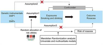 Frontiers | The impact of smoking and alcohol consumption on rosacea: a ...