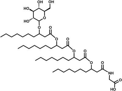 Frontiers | High-quality physiology of Alcanivorax borkumensis SK2 ...