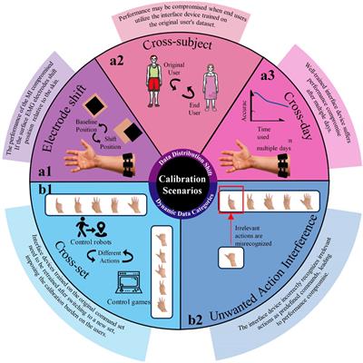 Frontiers | Robust myoelectric pattern recognition methods for reducing ...
