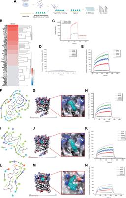Frontiers | Coniferyl ferulate alleviate xylene-caused hematopoietic ...