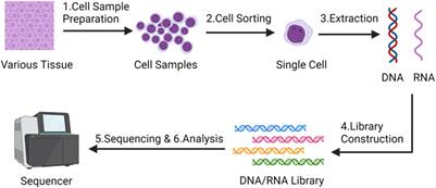 Frontiers | Application progress of single-cell sequencing technology ...