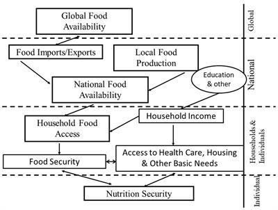 Frontiers | Food and nutrition security definitions, constructs ...